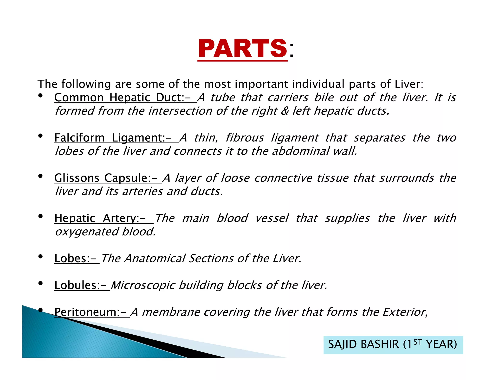 LIVER .By Sajid Bashir,BPT 1st year CRC Bemina Srinagar | PDF