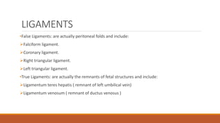 LIVER PRESENATION SHARE NeeeeeeEW-1.pptx