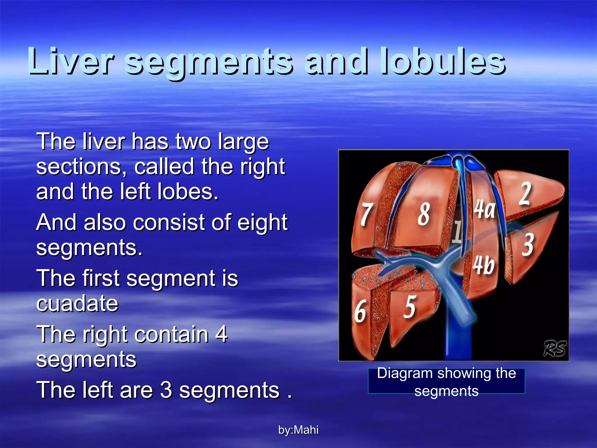 Liver radiology MRI | PPT