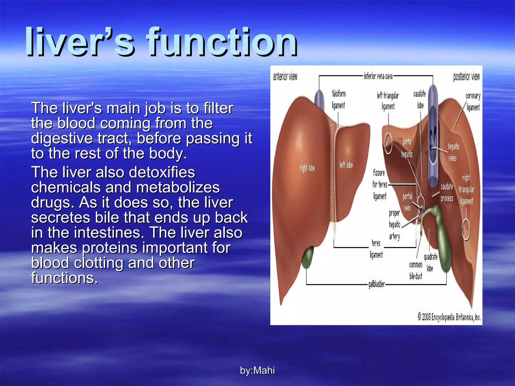 Liver radiology MRI | PPT