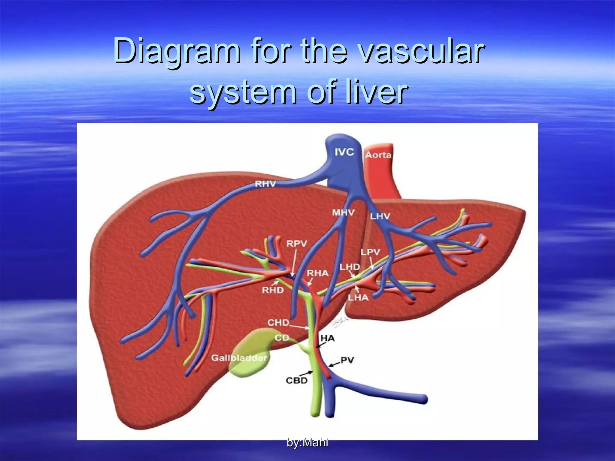 Liver radiology MRI | PPT