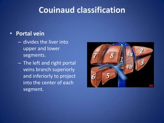 Liver segmental anatomy | PDF