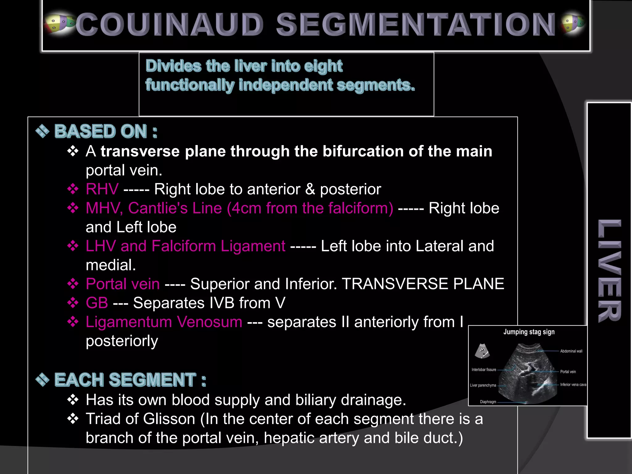 Liver segmental anatomy | PDF