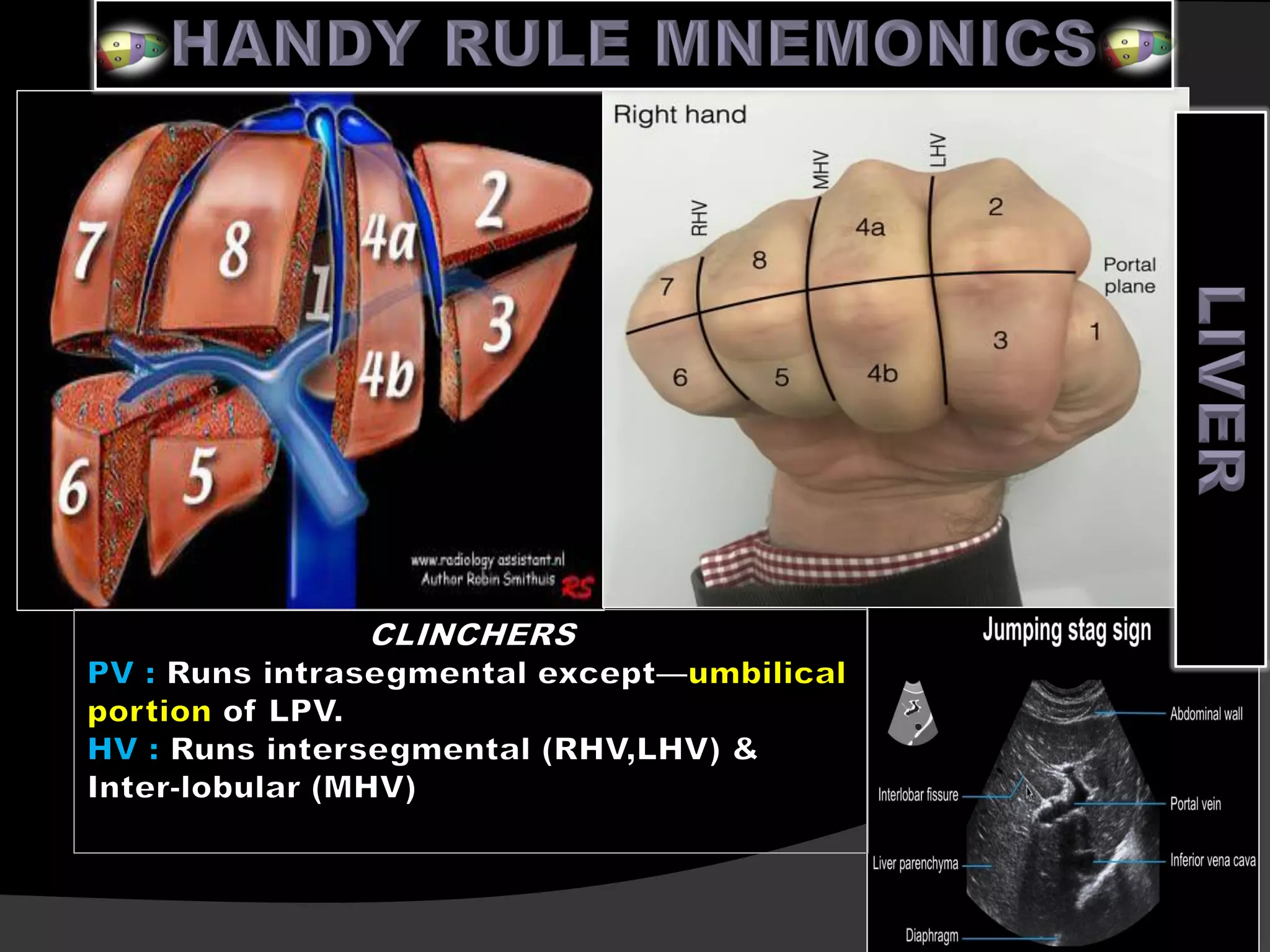 Liver segmental anatomy | PDF