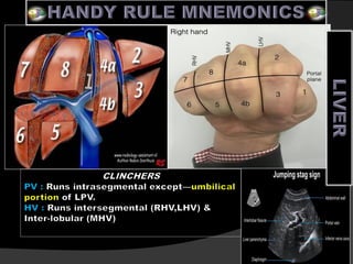 Liver segmental anatomy | PDF | Geography | Science
