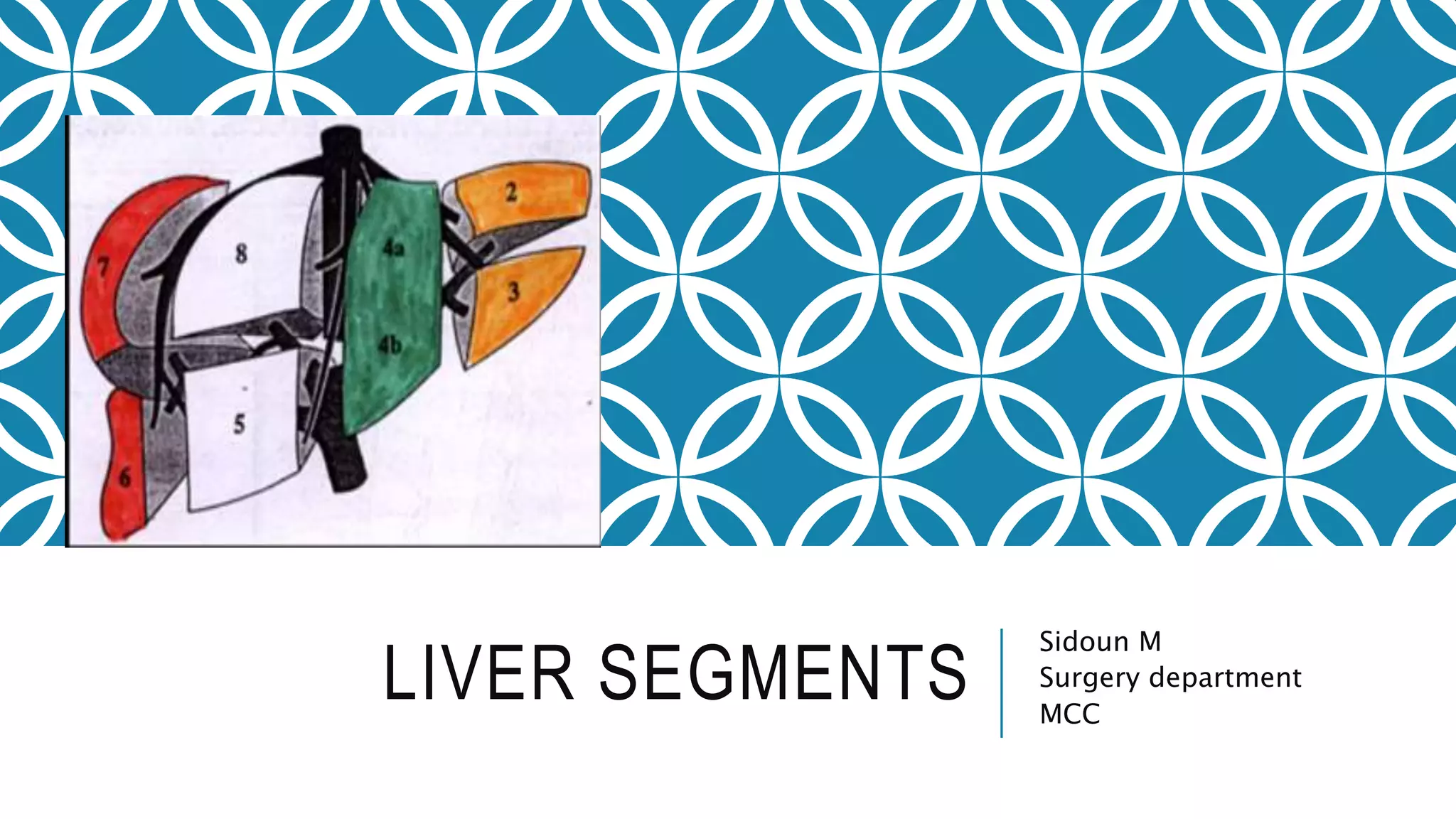 Liver segments | PPTX