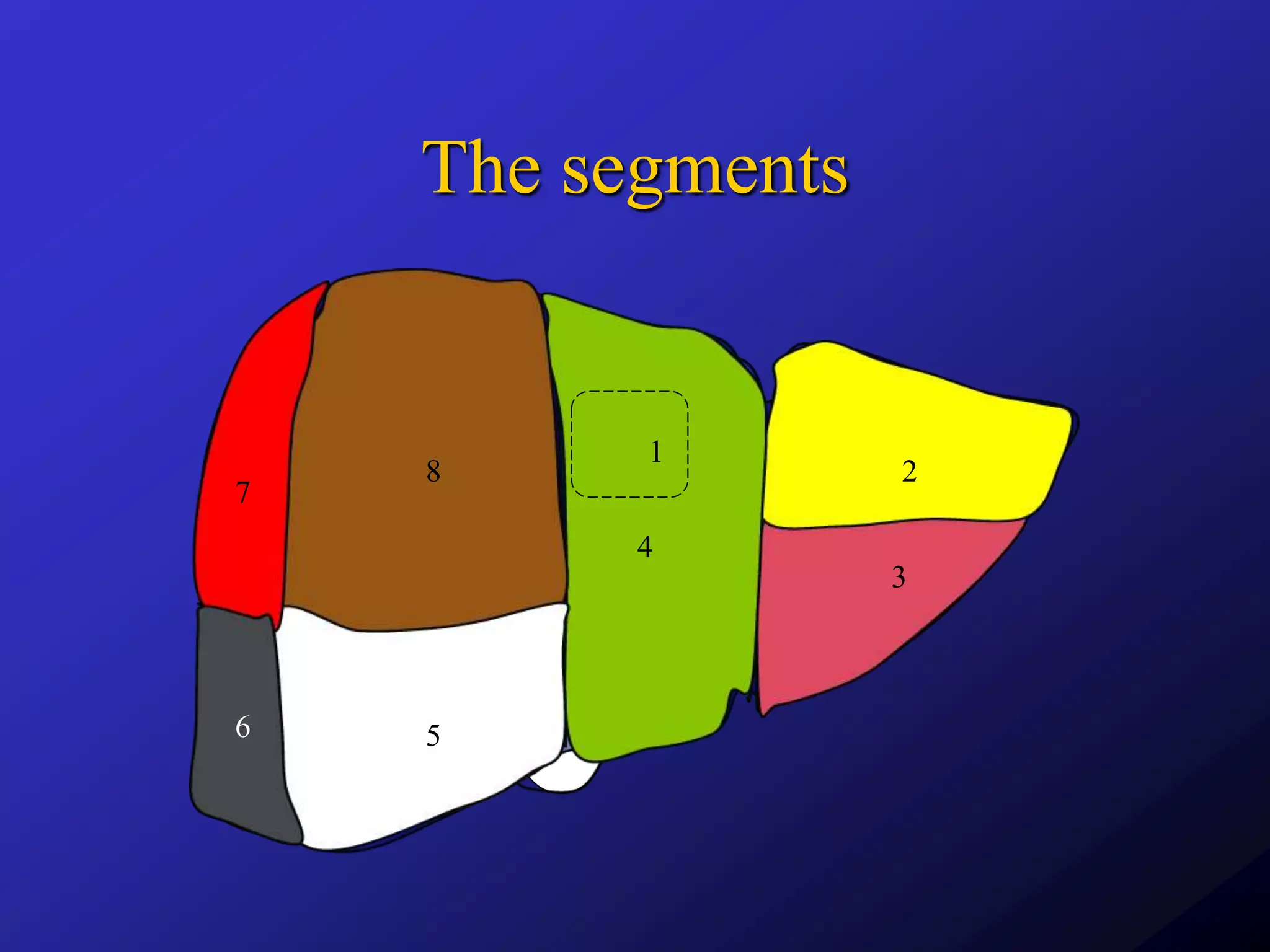 Liver Segments On Ultrasound Ppt