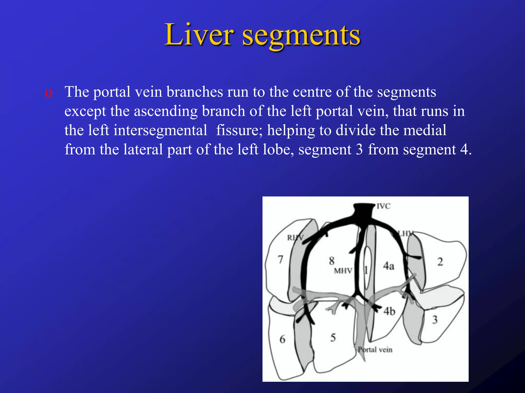 Liver segments on ultrasound | PPTX