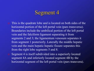 Liver segments on ultrasound | PPTX