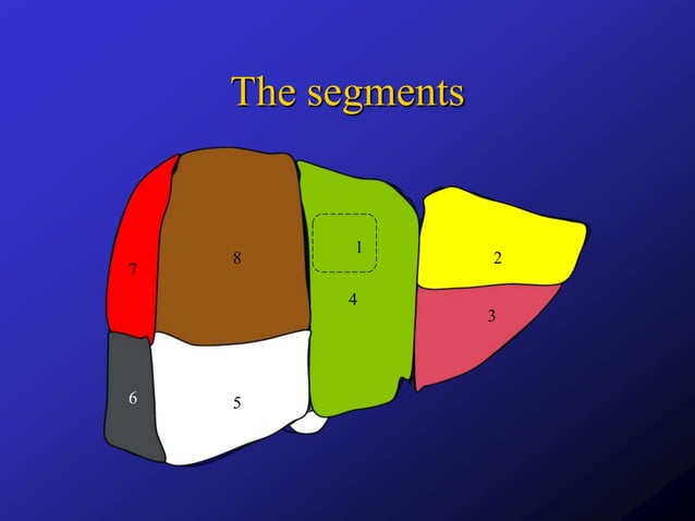 Liver segments on ultrasound | PPTX