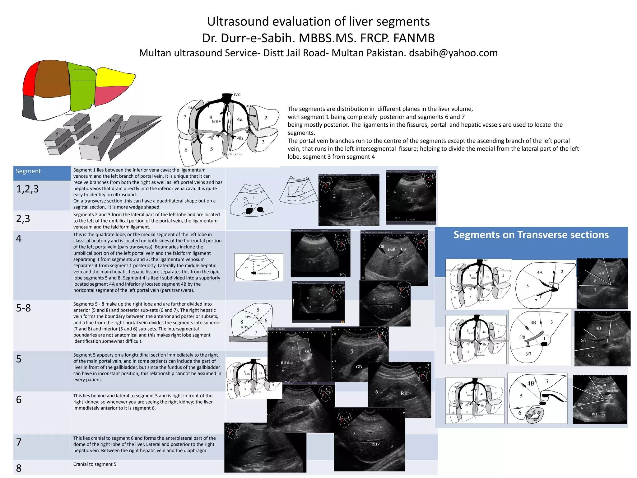 Liver segments Infographic | PPTX