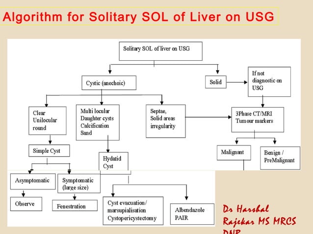 liver mass - how to investigate? | PPT