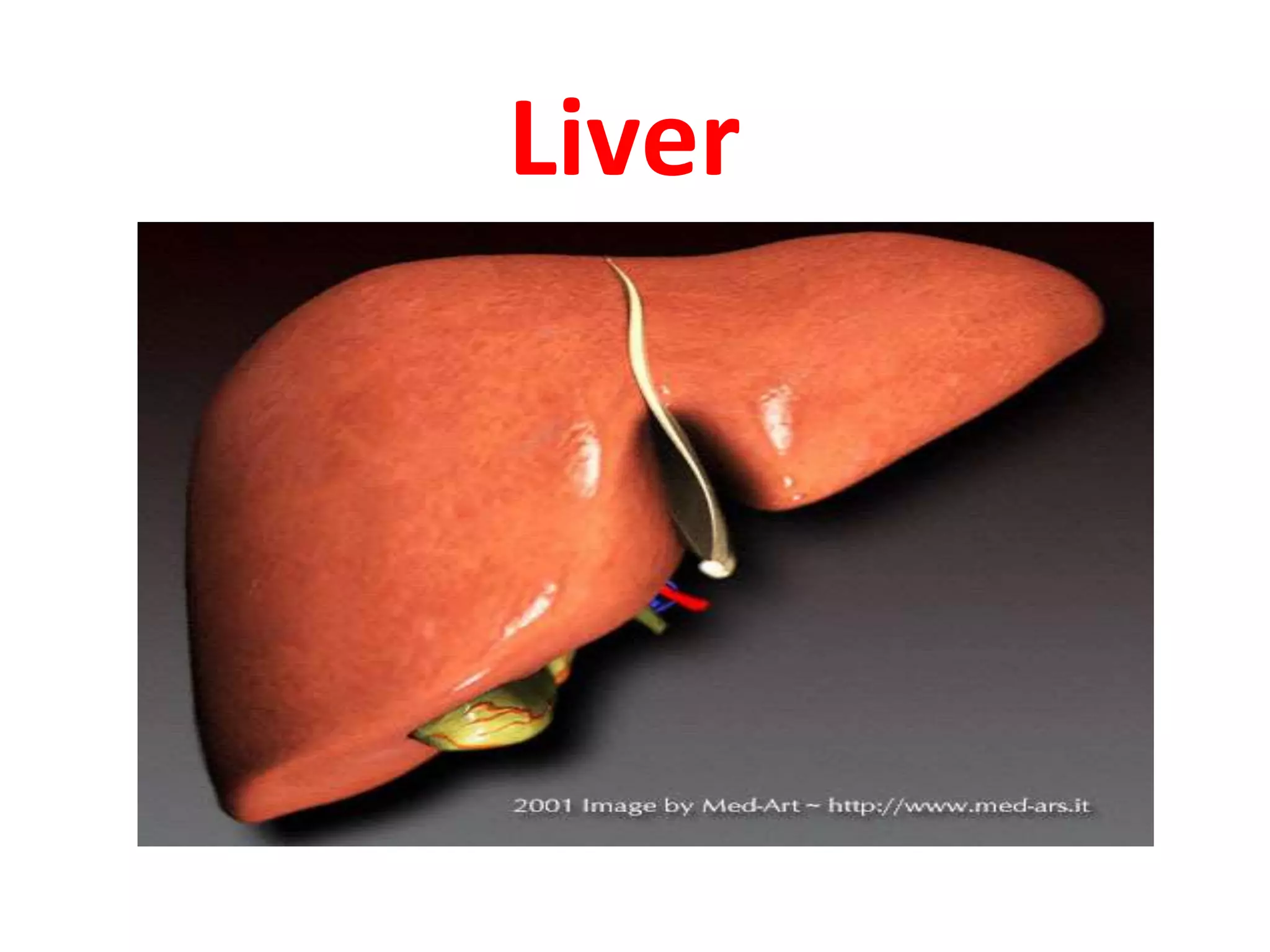 LIVER sonika.pptx