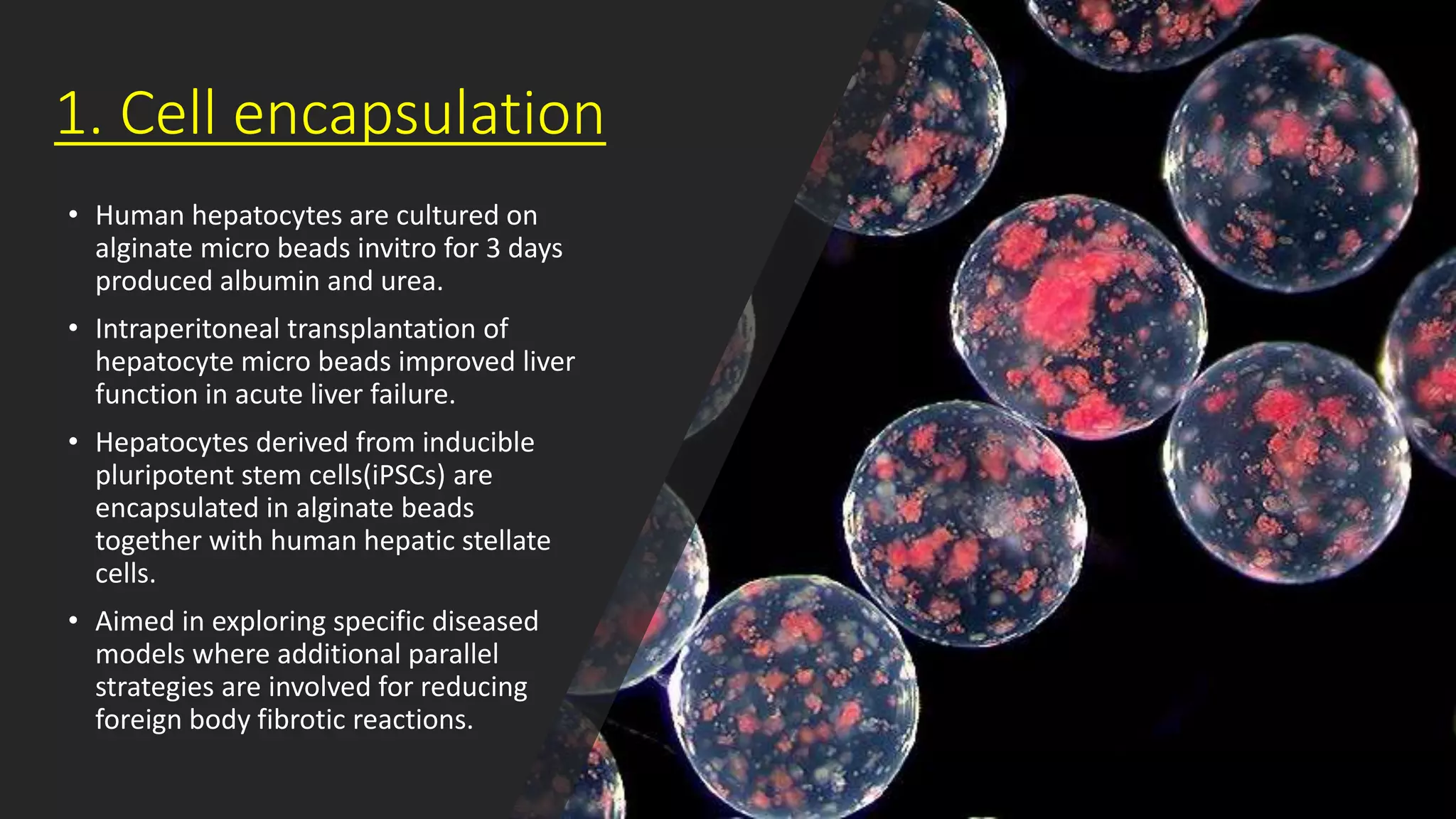 Liver tissue engineering | PPTX