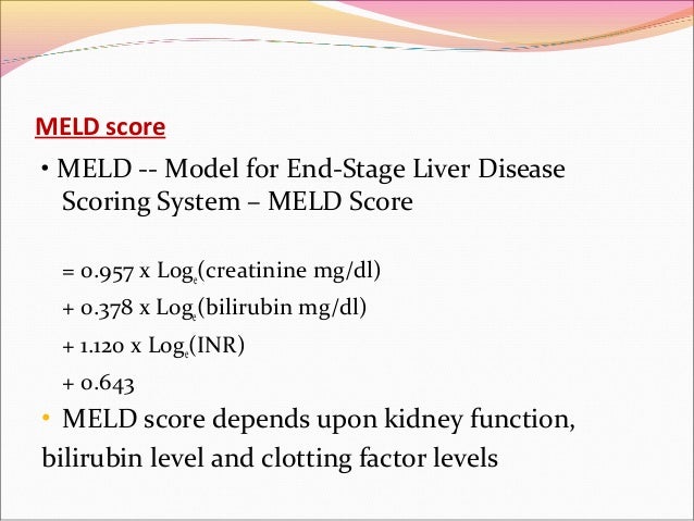 Liver transplantation - workshop