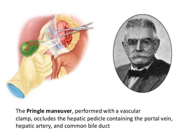 Cirurgia do Aparelho Digestivo | The SURGEON