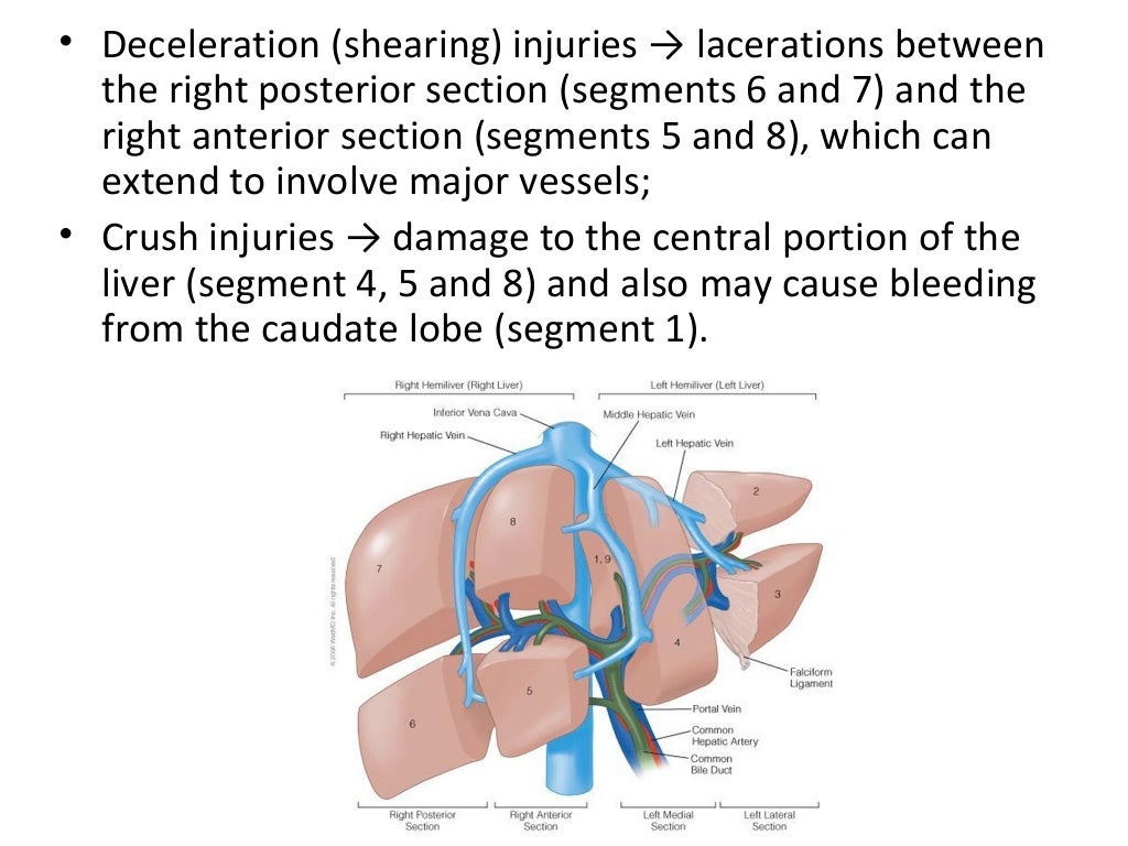 Liver Trauma (Liver Injury)