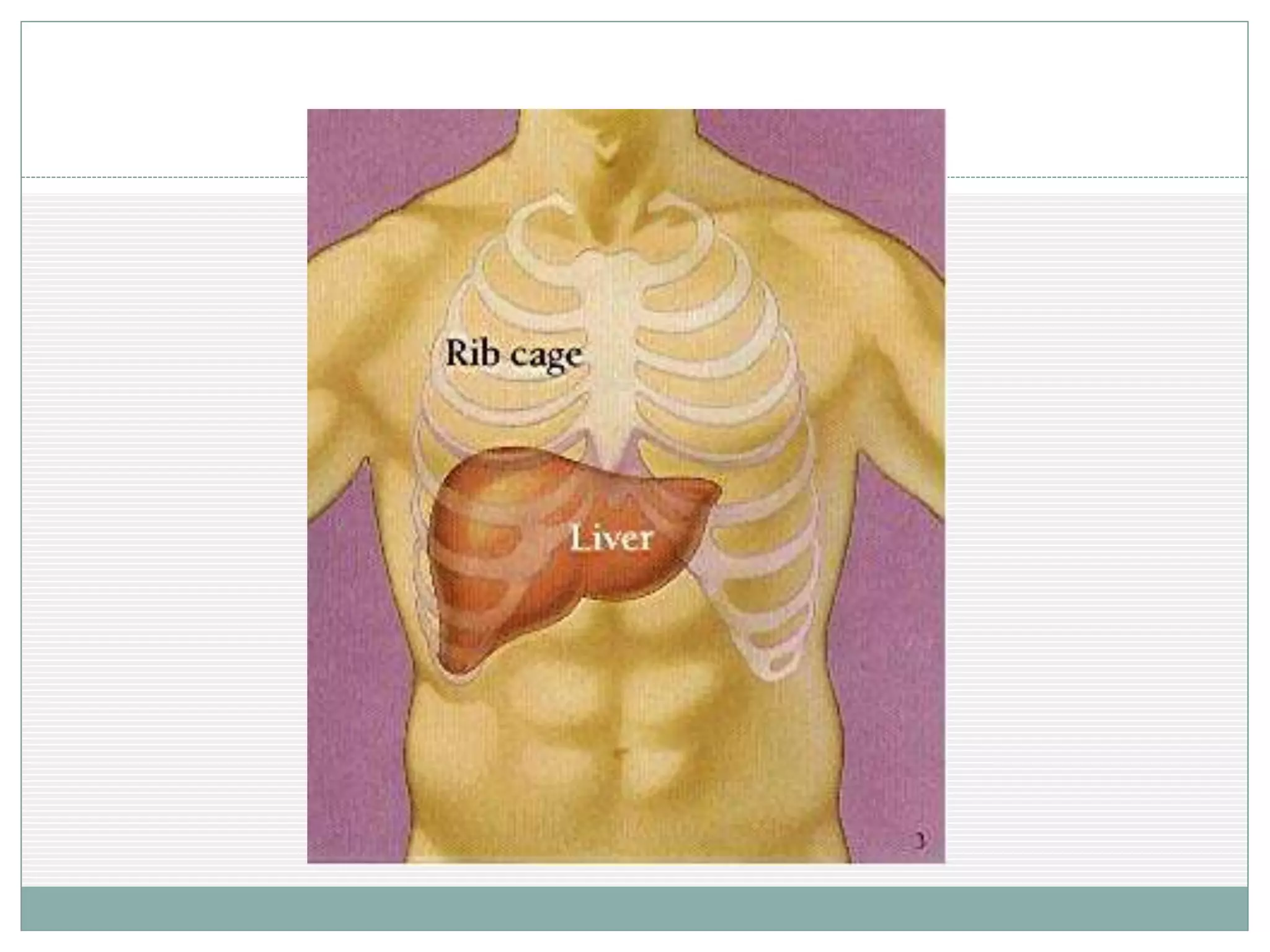 Liver Trauma & Concepts in Abdominal Trauma Lecture | PPTX
