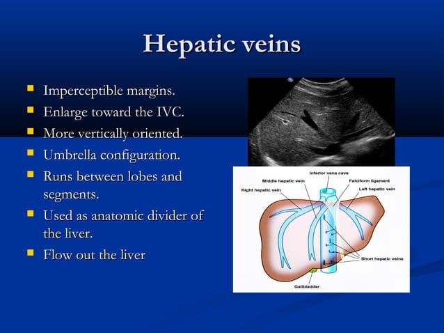 Liver ultrasound | PPT