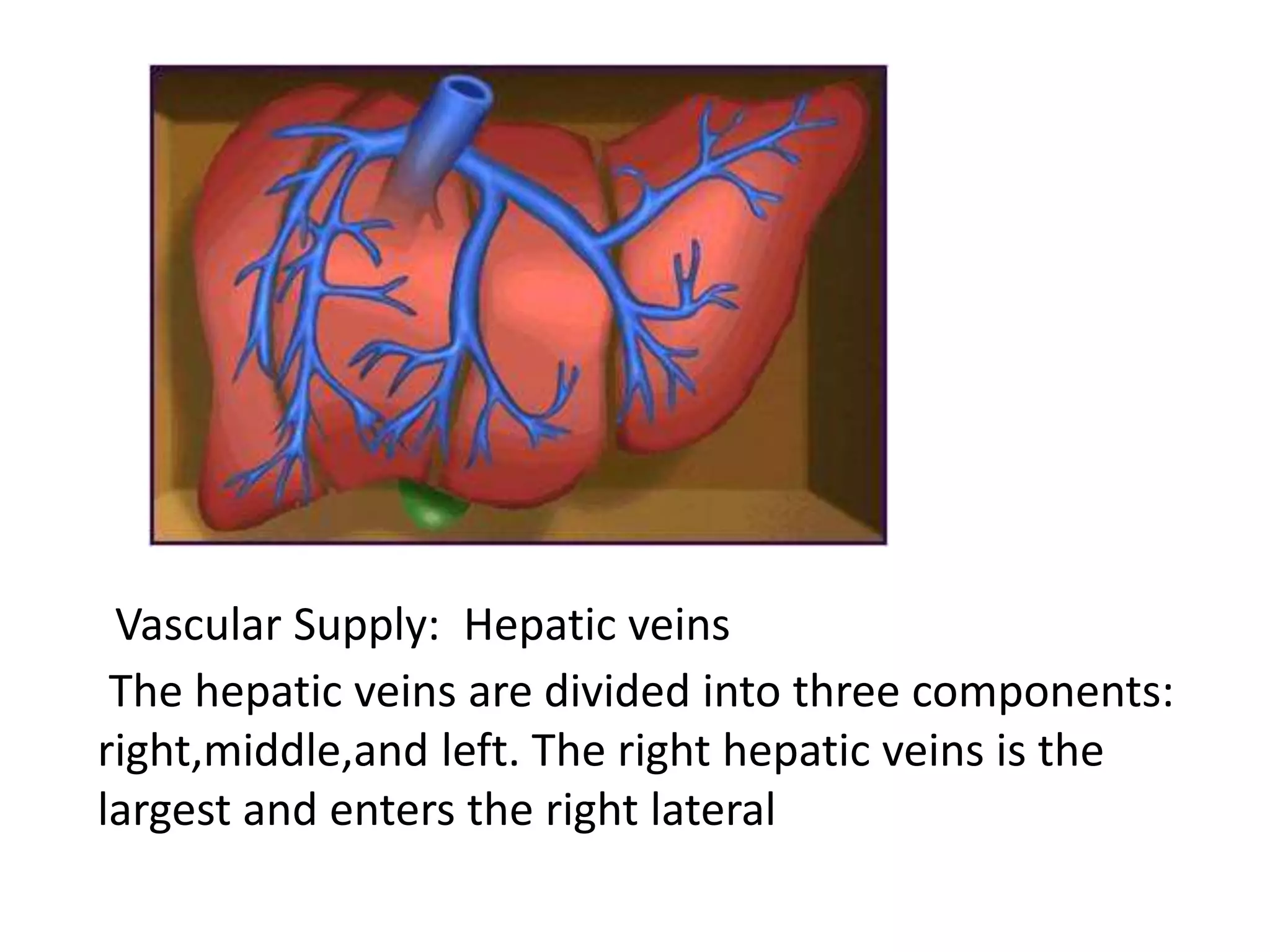 liver ultrasound.pptx