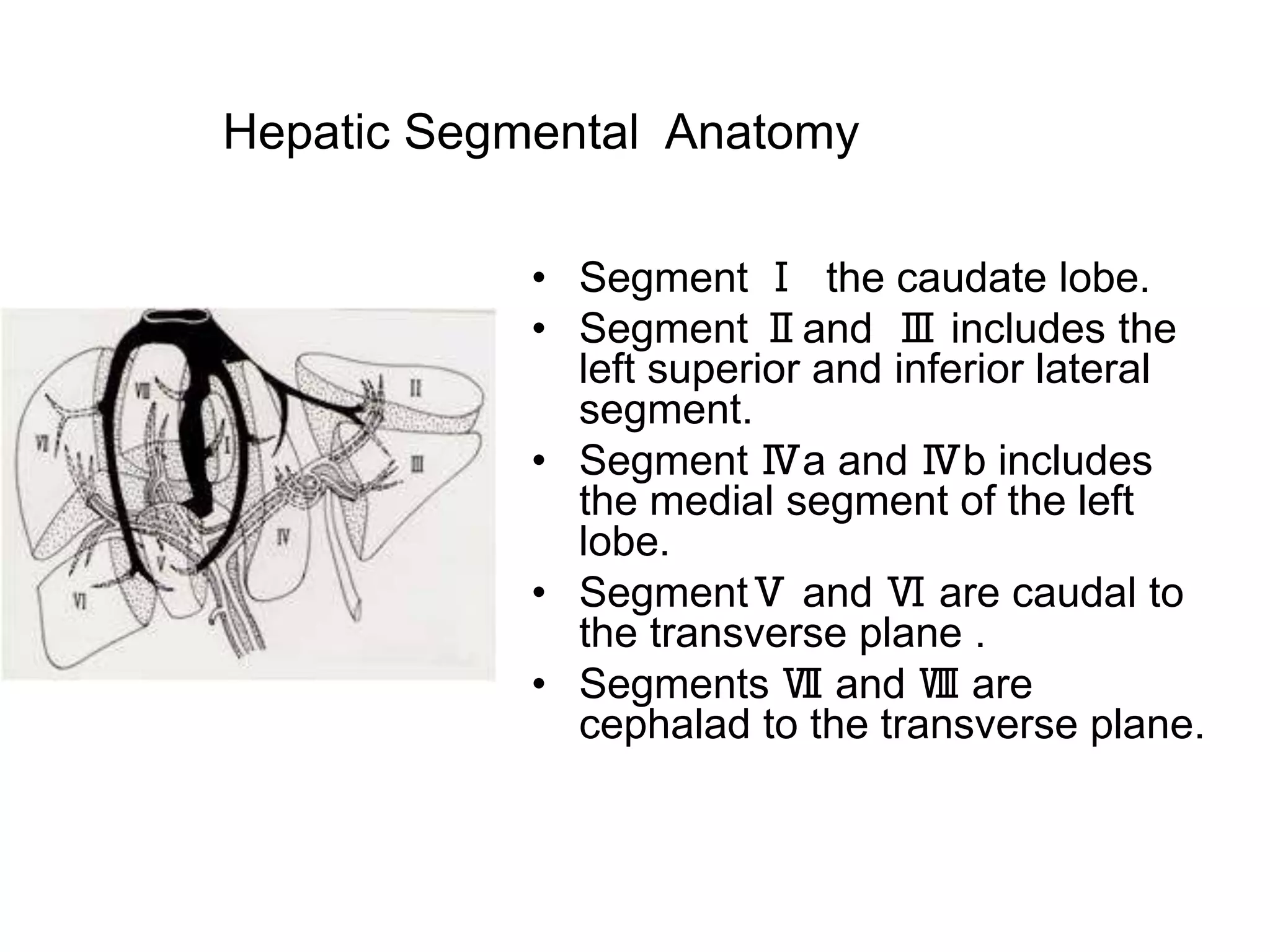 liver ultrasound.pptx