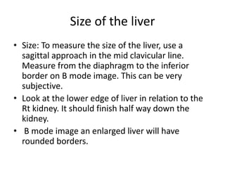 liver ultrasound.pptx