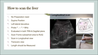 liver normal and pathological ultrasound .pdf