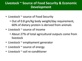 Livestock - A Driving Force for Food Security and Sustainable ...
