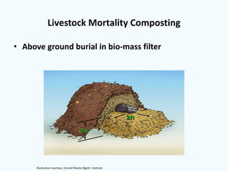 Livestock and Poultry Mortality Management | PPTX