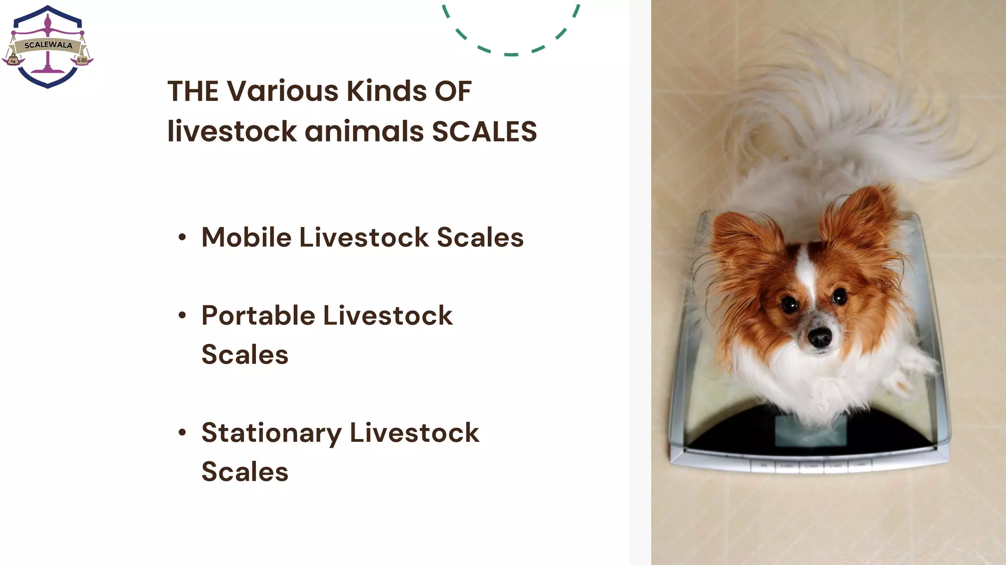 Livestock Animal Weighing Scales.pptx