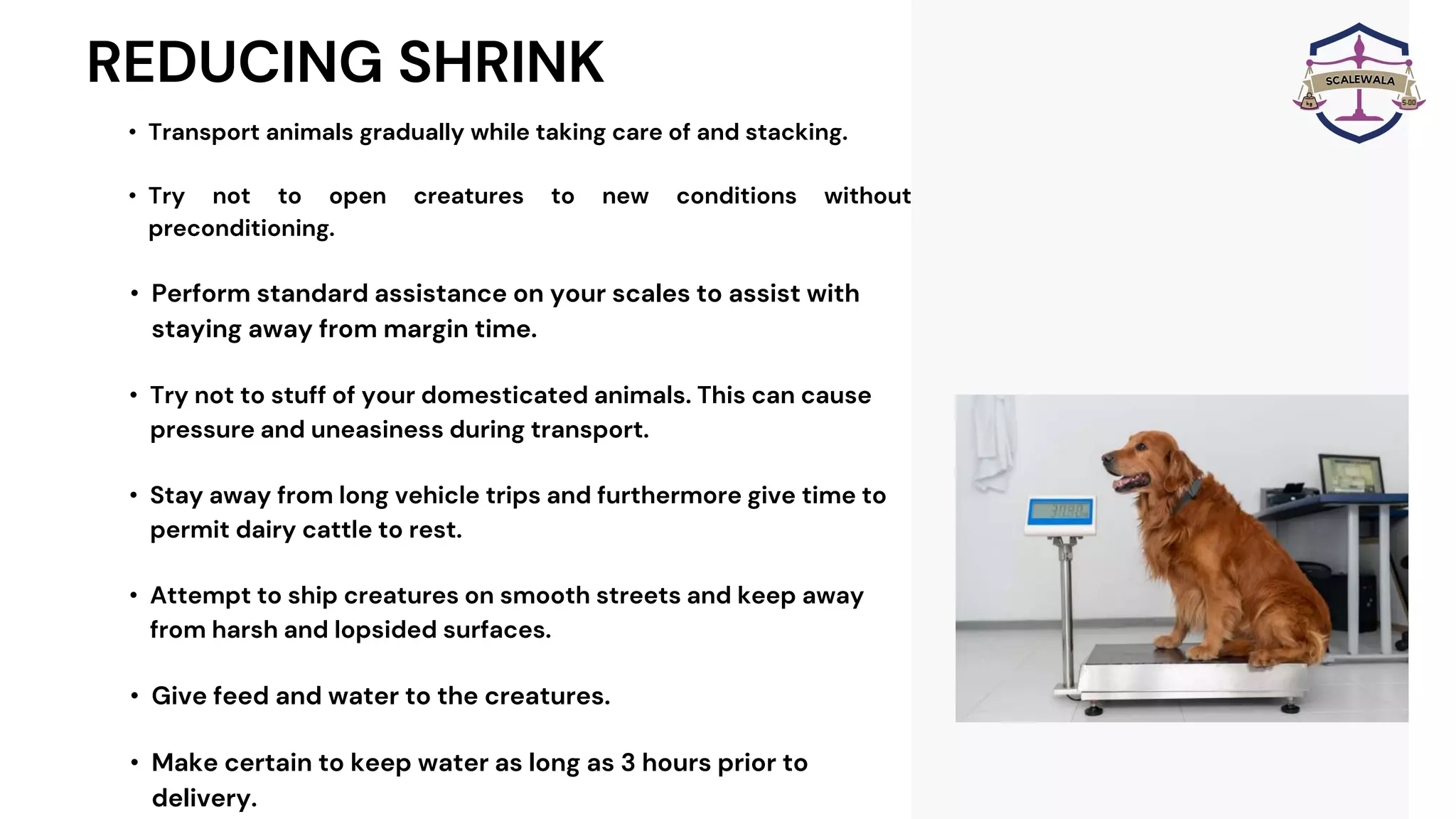 Livestock Animal Weighing Scales.pptx