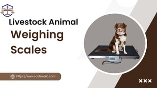 Livestock Animal Weighing Scales.pptx