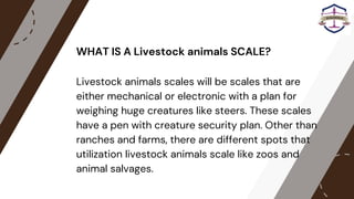 Livestock Animal Weighing Scales.pptx