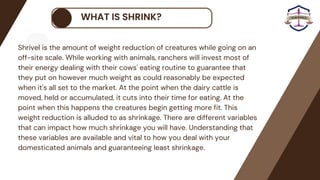 Livestock Animal Weighing Scales.pptx