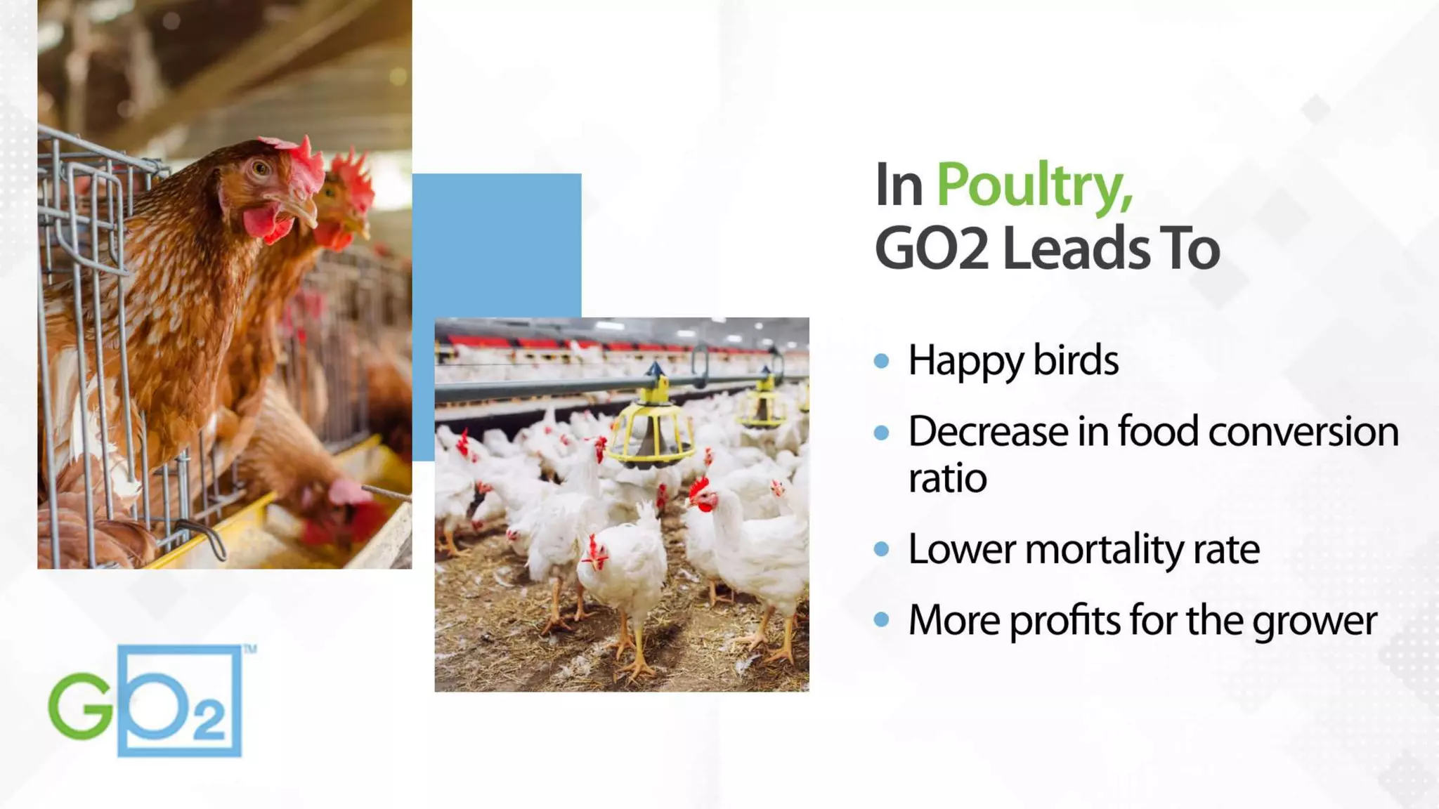 Livestock applications for go2 | PPTX