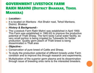 Govt.Livestock farms in Punjab,PAKISTAN | PPTX