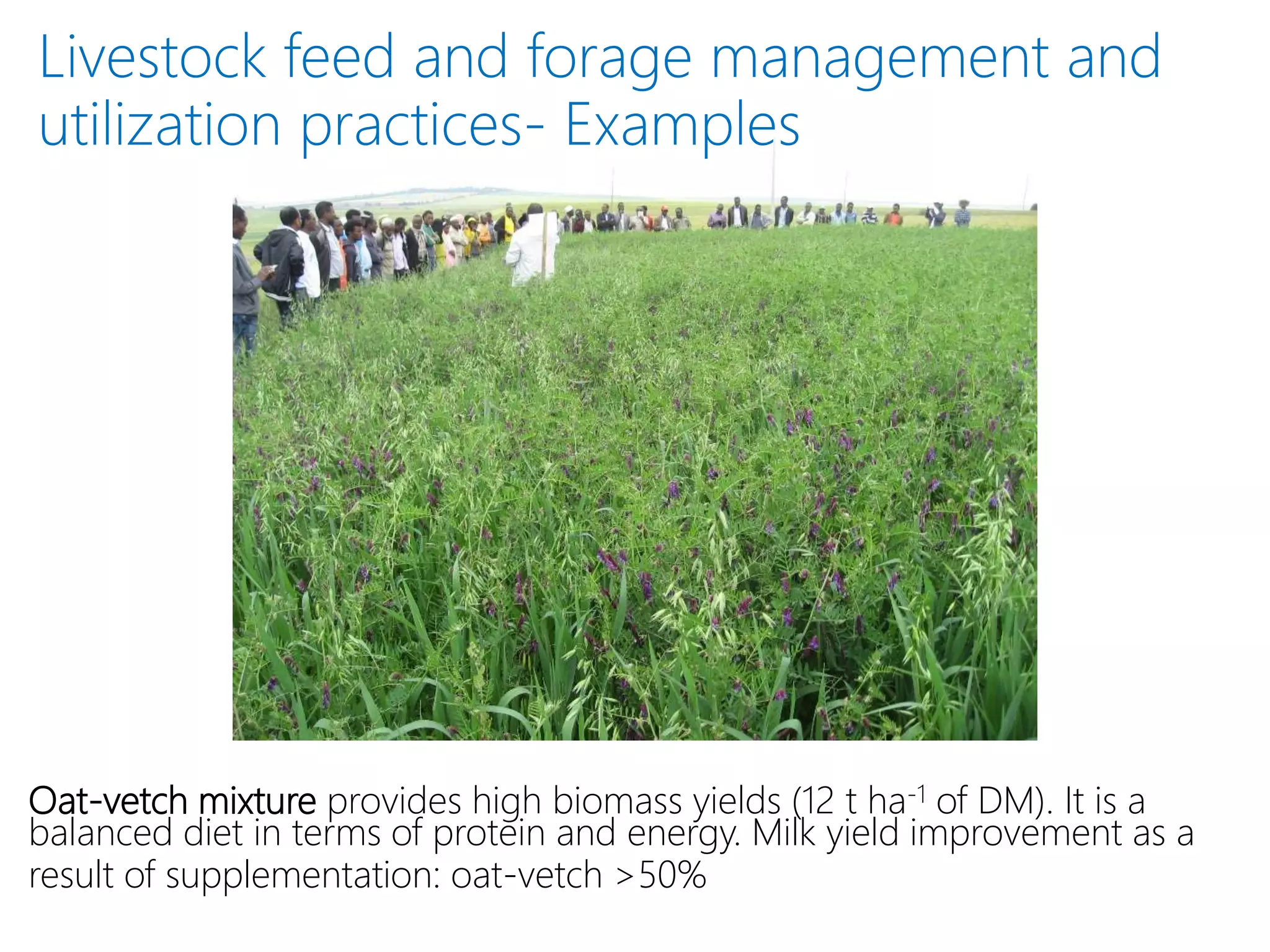Livestock feed and forage | PPTX