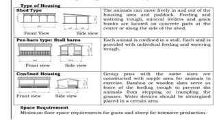 Animal production lesson in quarter 2 Agriculture LIVESTOCK HOUSING.pptx
