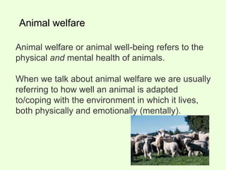 Livestock observation | PPT