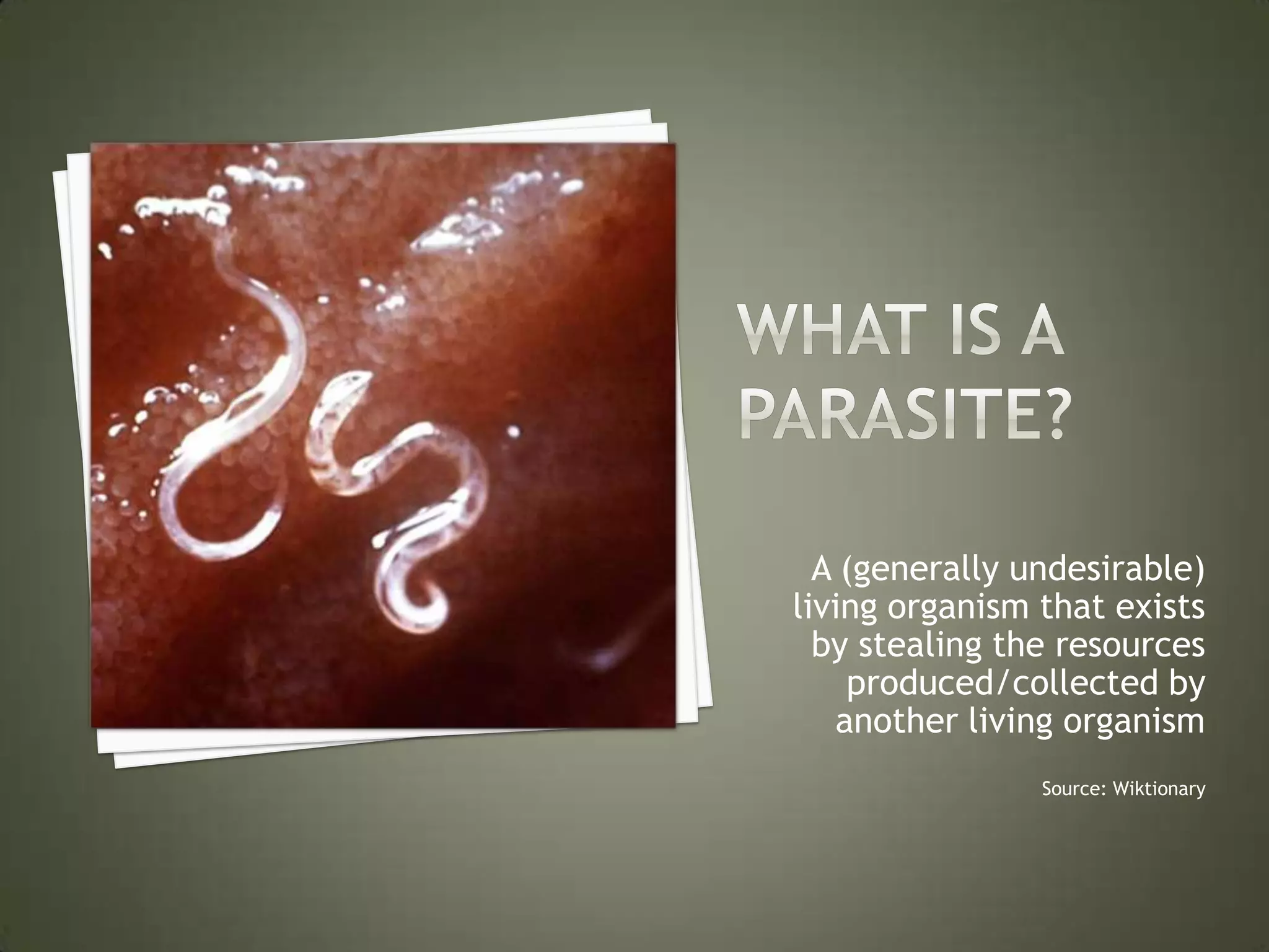 Livestock Parasitology 101 | PPTX