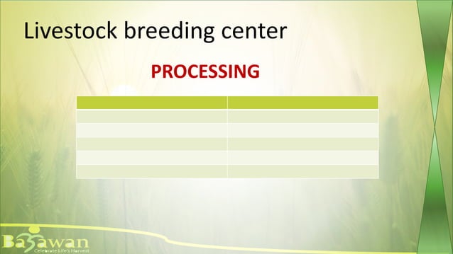 livestock powerpoint theme.pptx