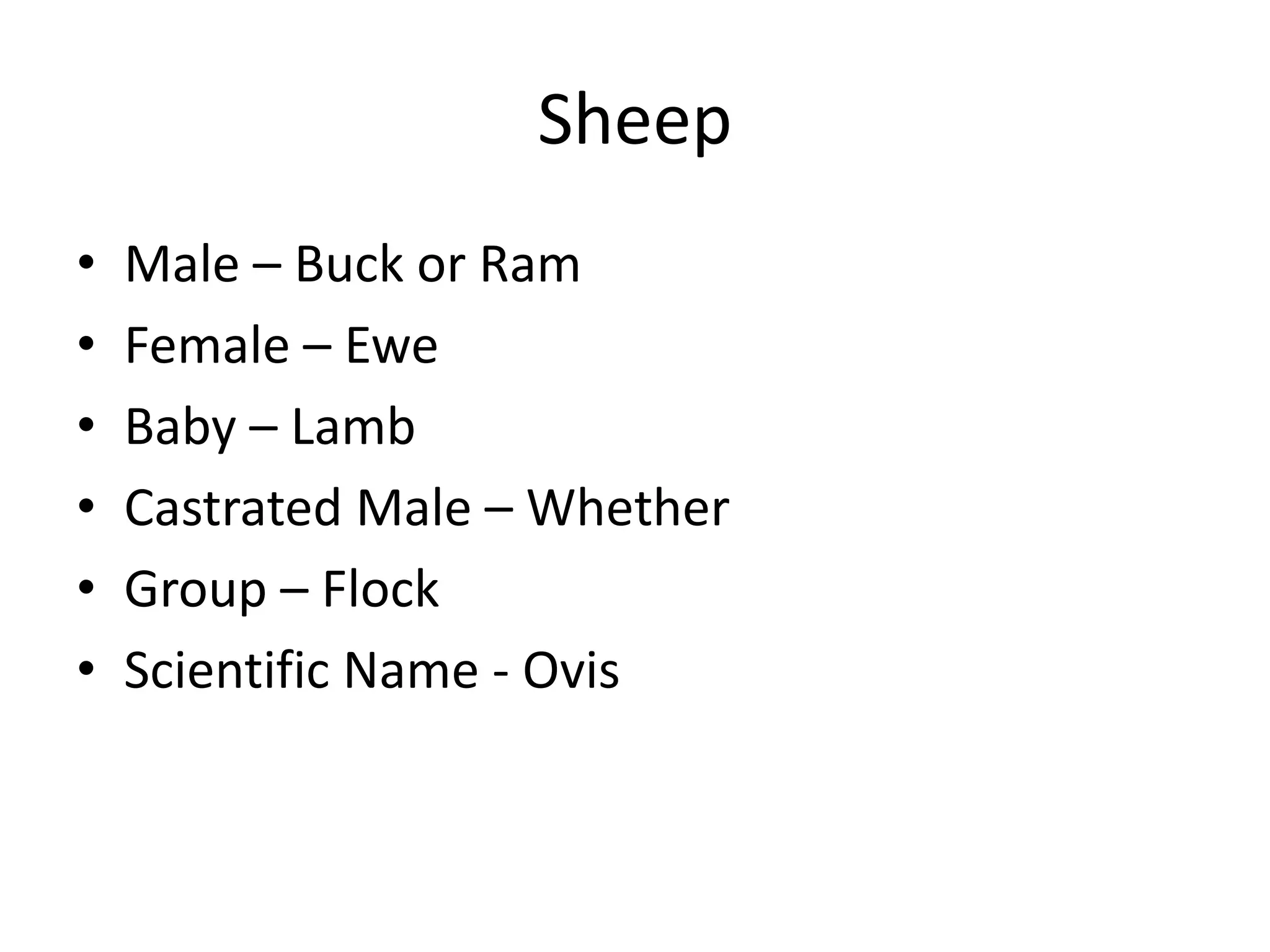 Livestockppt | PPTX | Equine Sports | Sports