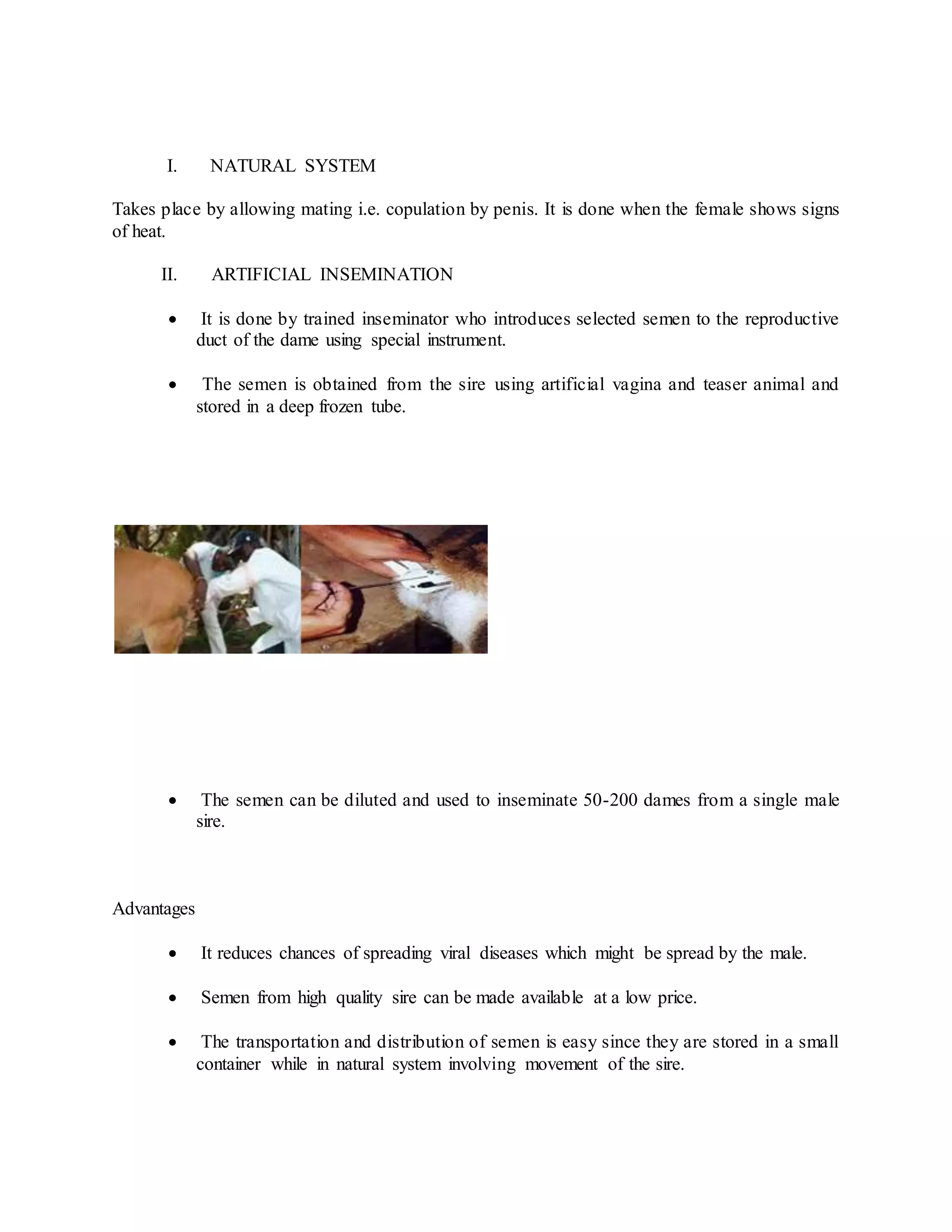 Livestock production | DOCX | Genetics | Science