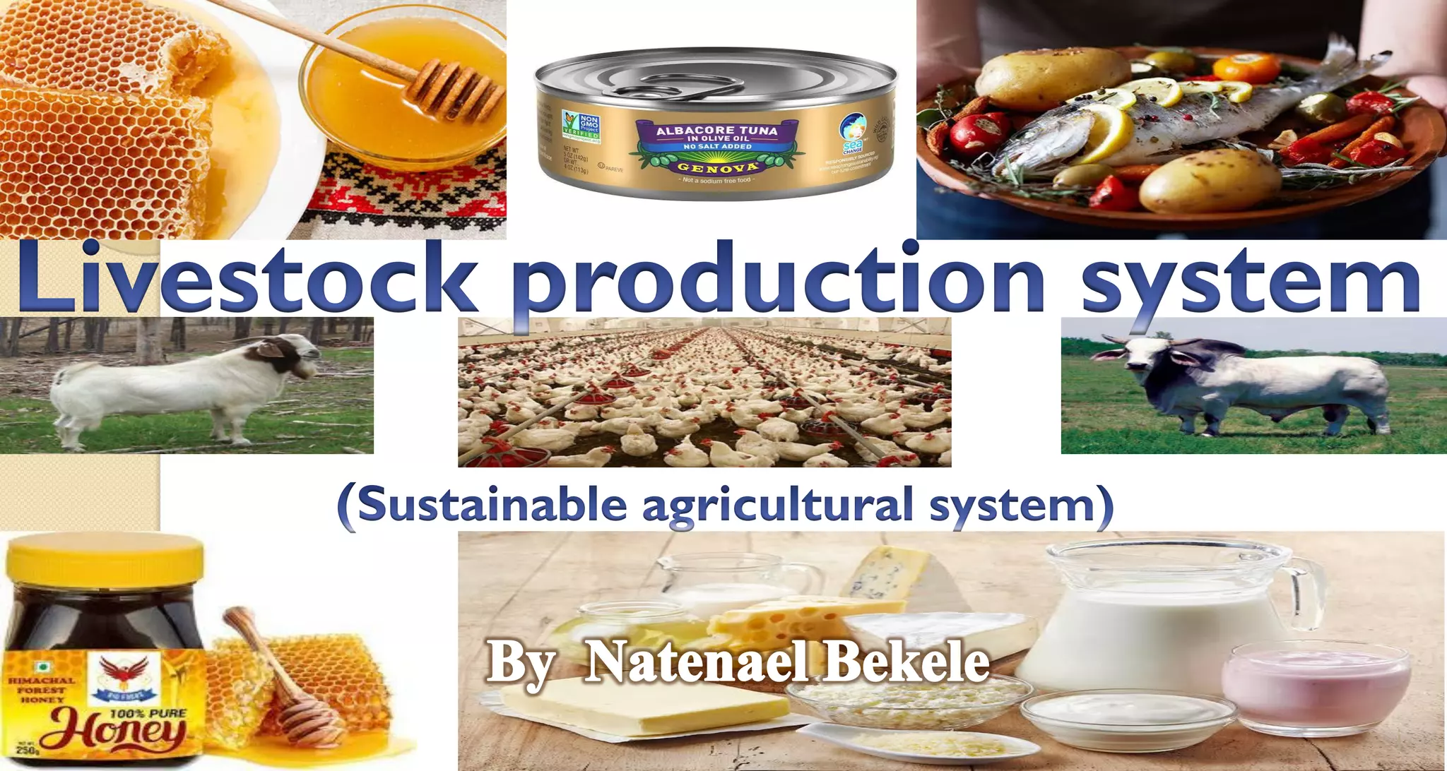 Livestock production system | PDF