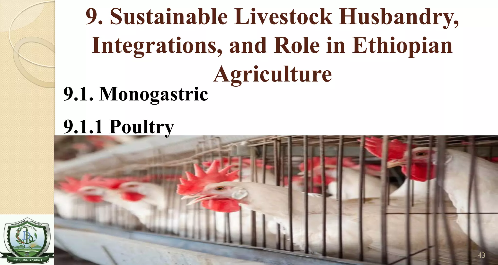 Livestock production system | PDF