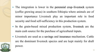 Livestock production system | PDF