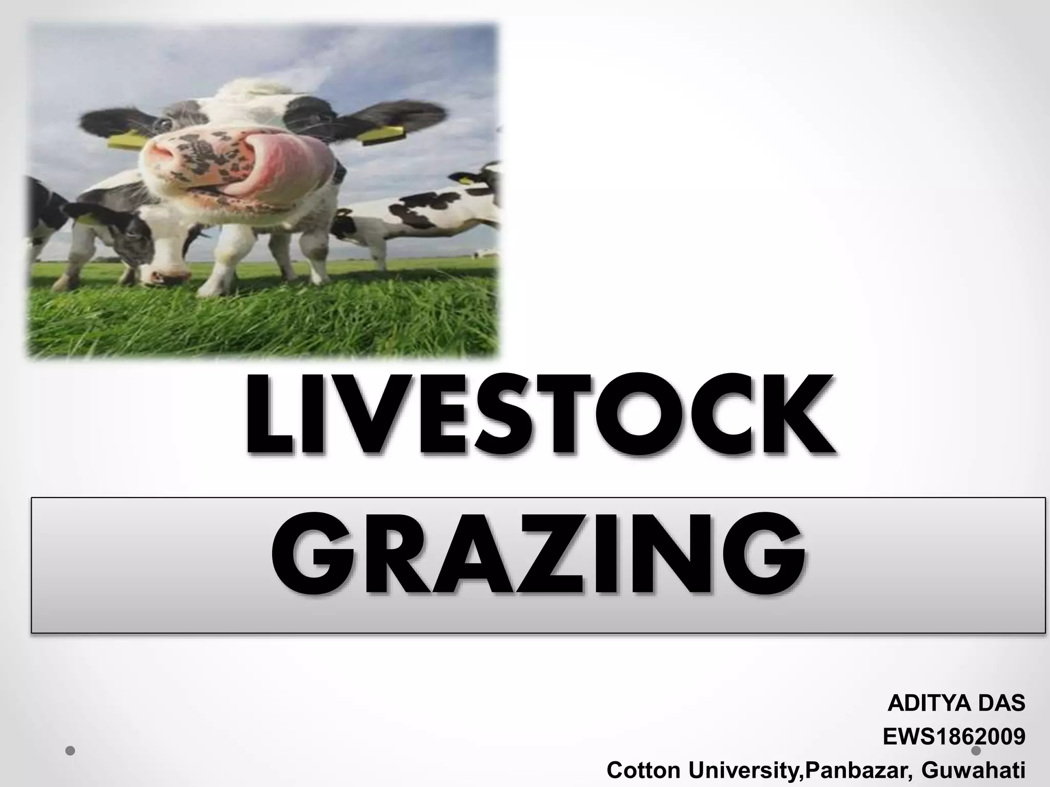 Livestock Grazing & effects on World. | PPT