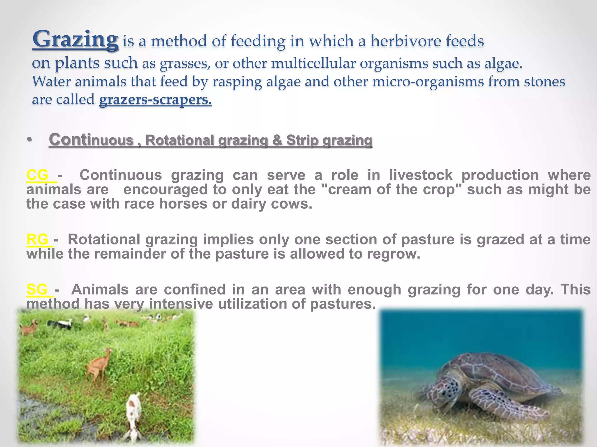 Livestock Grazing & effects on World. | PPT