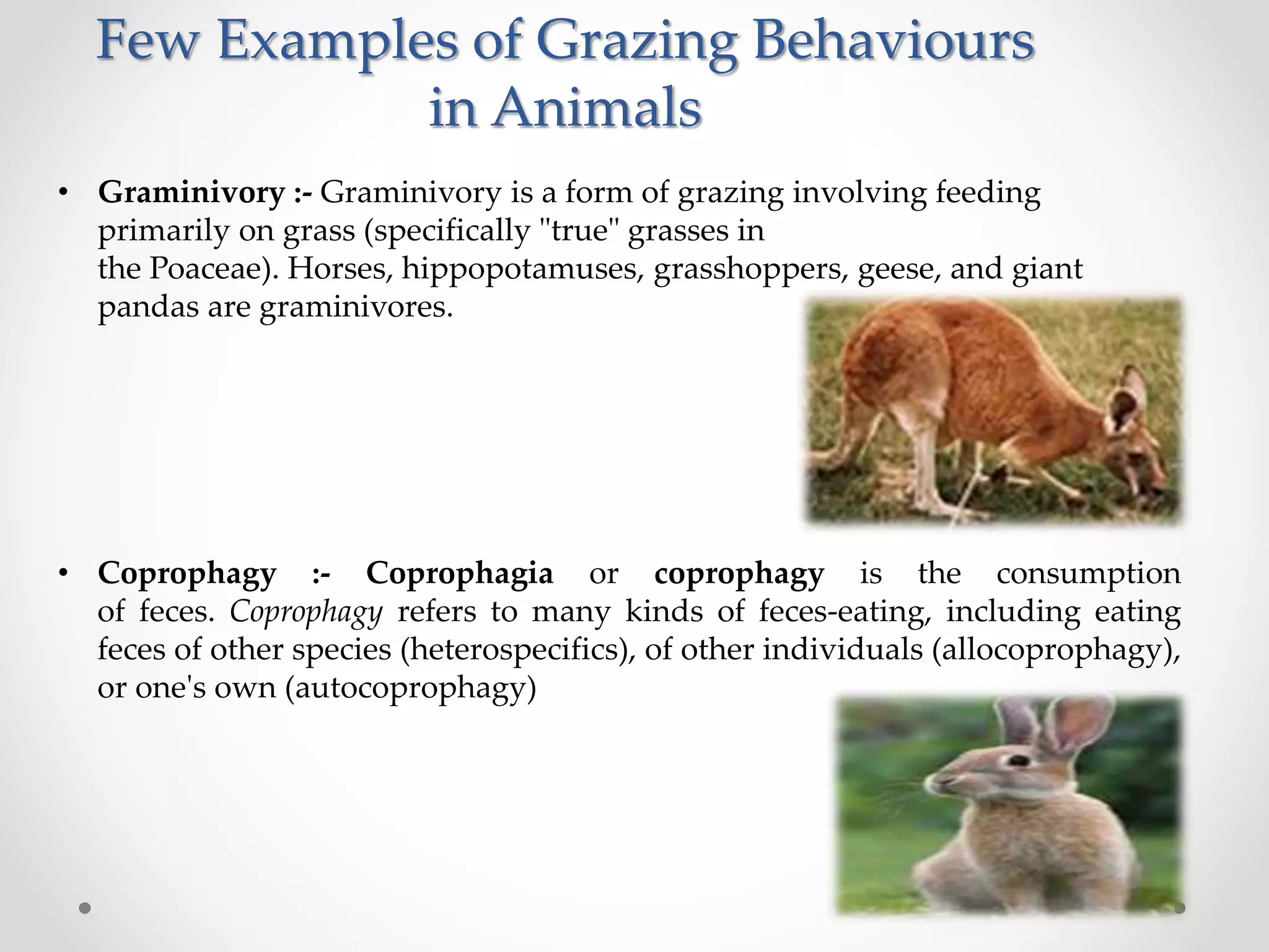 Livestock Grazing & effects on World. | PPT