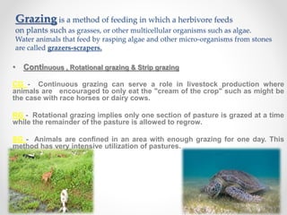 Livestock Grazing & effects on World. | PPT